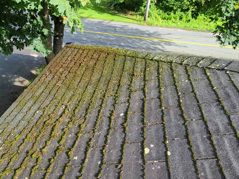 The Effects of Humidity on Roofing Systems